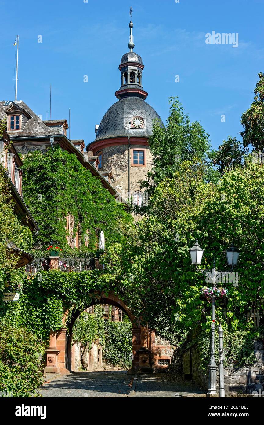 Gate to the medieval castle, overgrown with Common ivy (Hedera helix ...