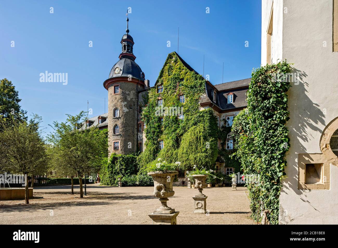 Medieval castle, Laubach Castle, overgrown with Common ivy (Hedera ...