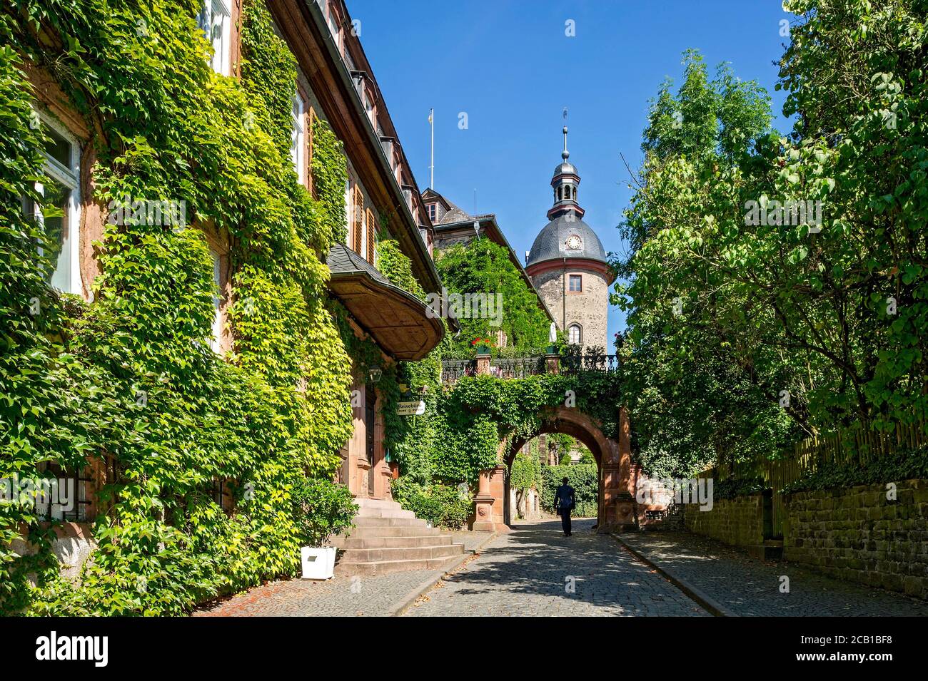 Gate to the medieval castle, overgrown with Common ivy (Hedera helix ...