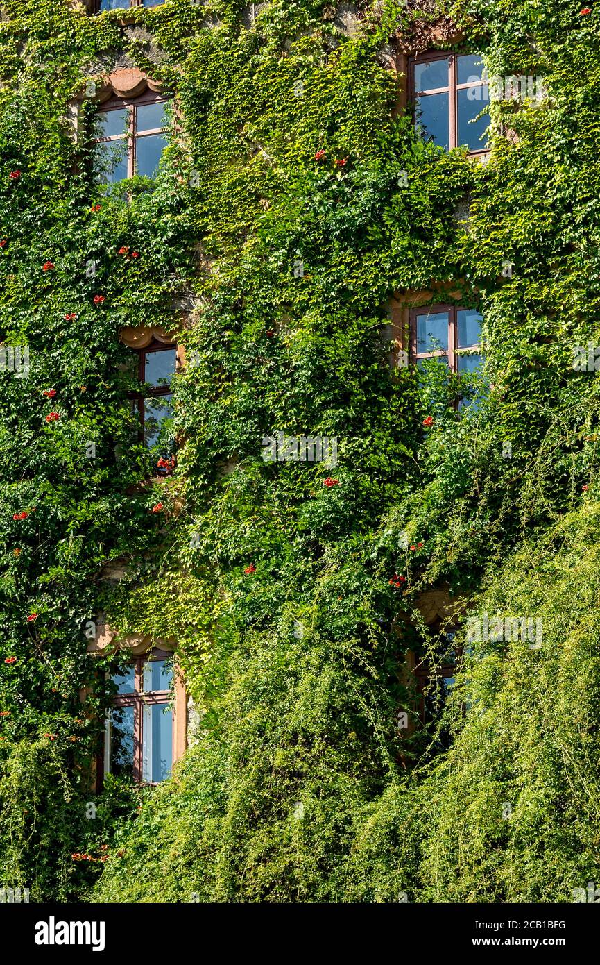 Facade of laubach castle and palace hi-res stock photography and images ...