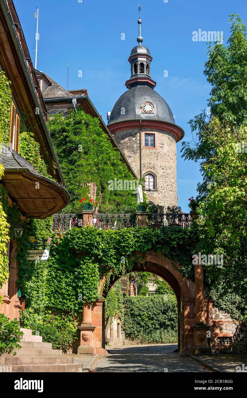 Gate to the medieval castle, overgrown with Common ivy (Hedera helix ...