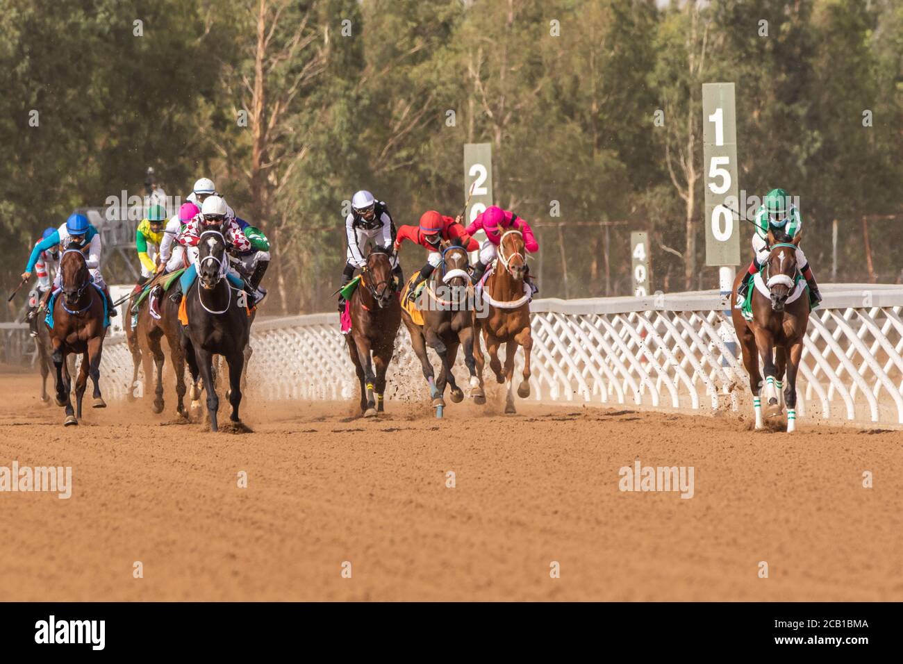 King khalid racecourse hi-res stock photography and images - Alamy
