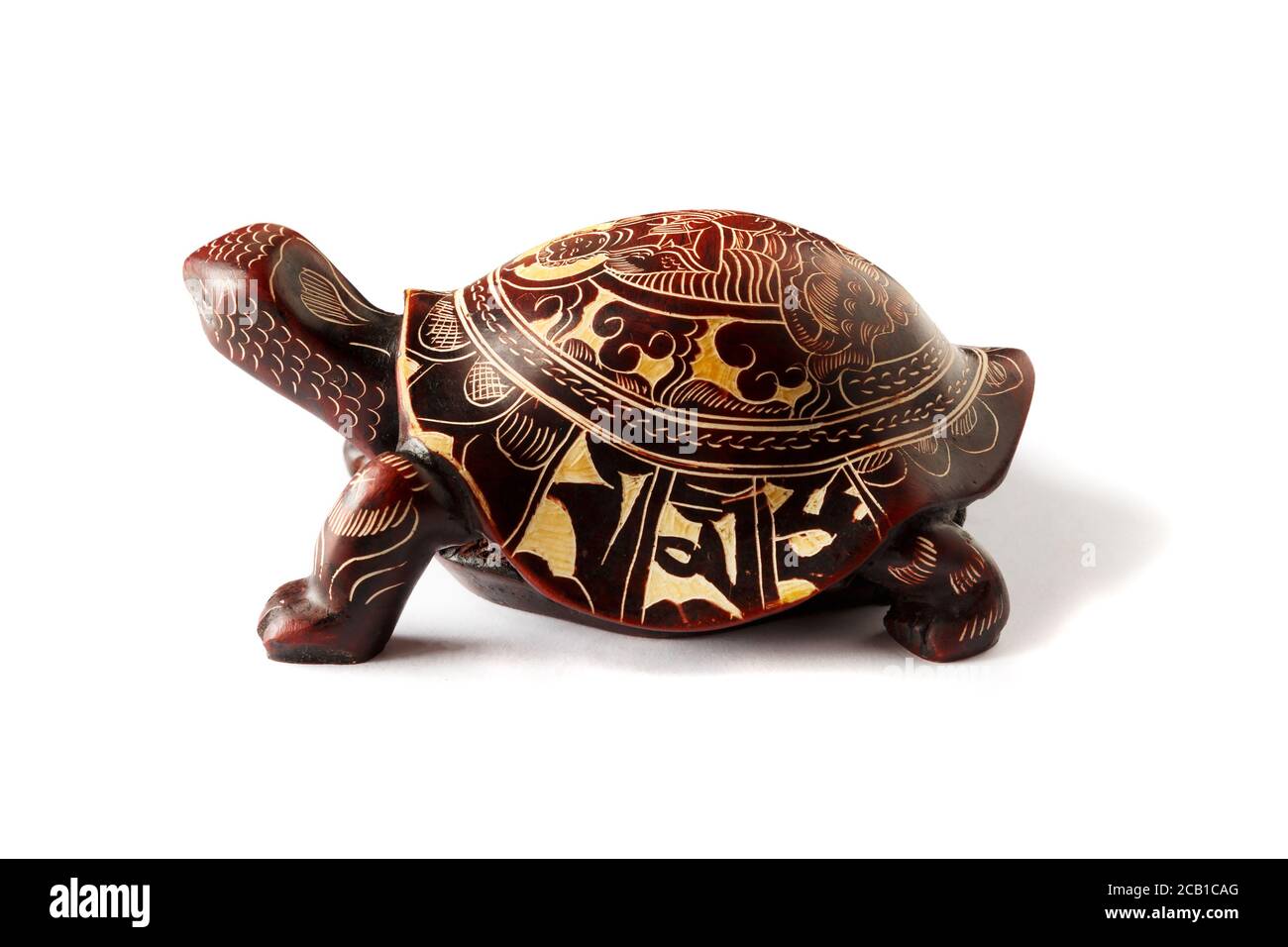Turtle with the image of the Buddha on the shell, white background ...