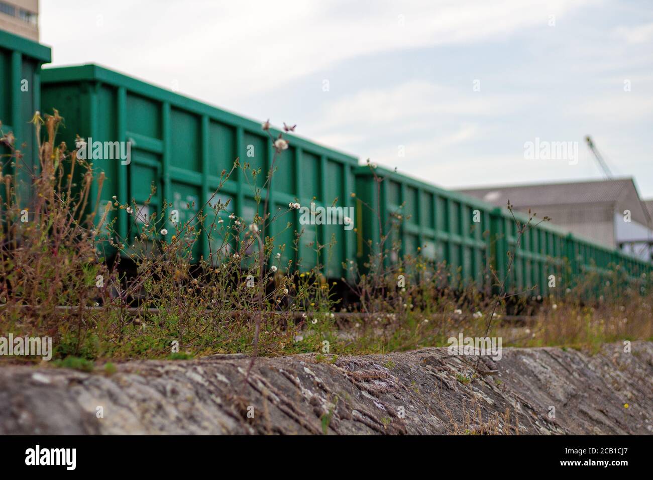 Low angle shot of a green train and grass near the railroad Stock Photo ...