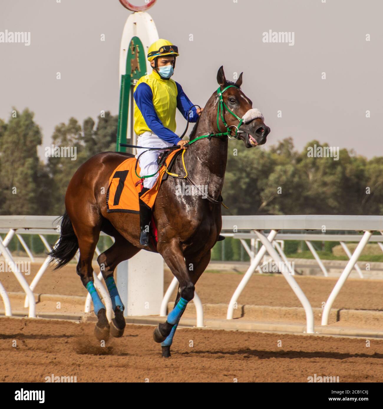 Horse racing at King Khalid Racetrack 7/8/2020 Stock Photo - Alamy