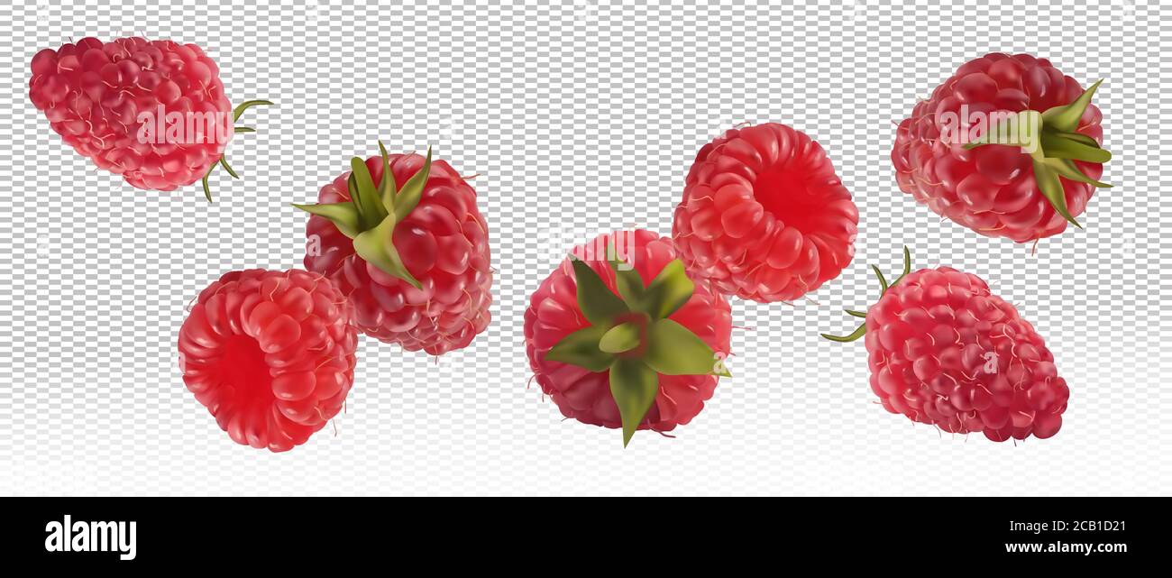 3D realistic raspberry on transparent background. Motion raspberry from ...