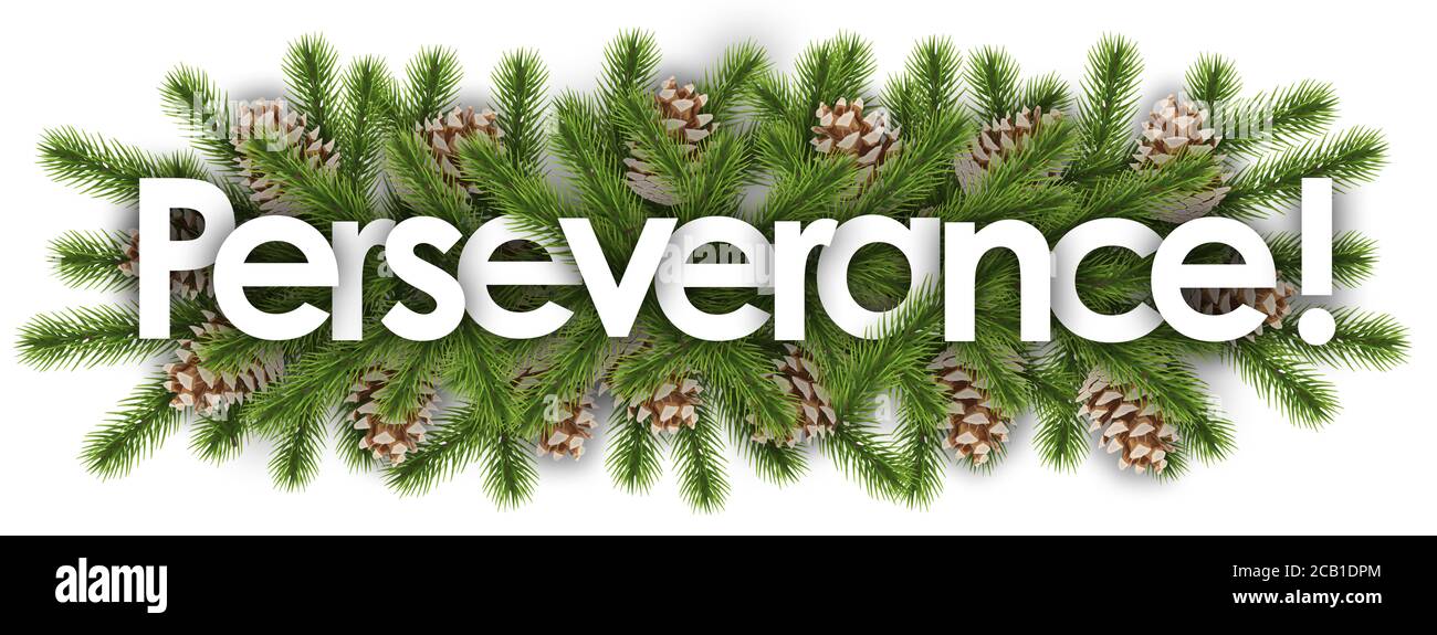 Creativity and perseverance and determination and perseverance hi-res ...