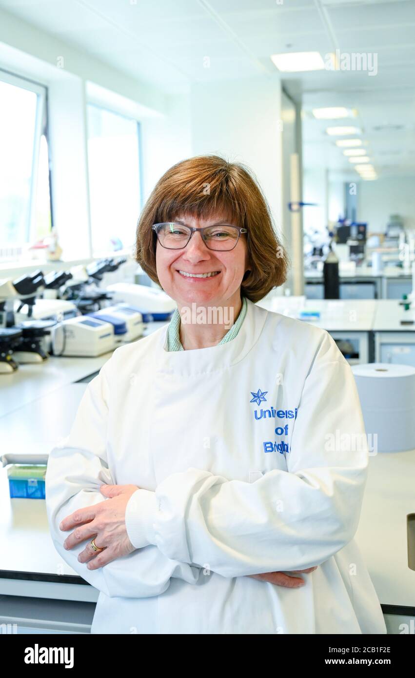 Dr dr sarah pitt hi-res stock photography and images - Alamy
