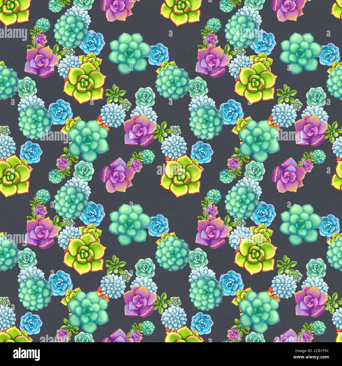 Seamless pattern with succulents. Beautiful floral print Stock Photo ...