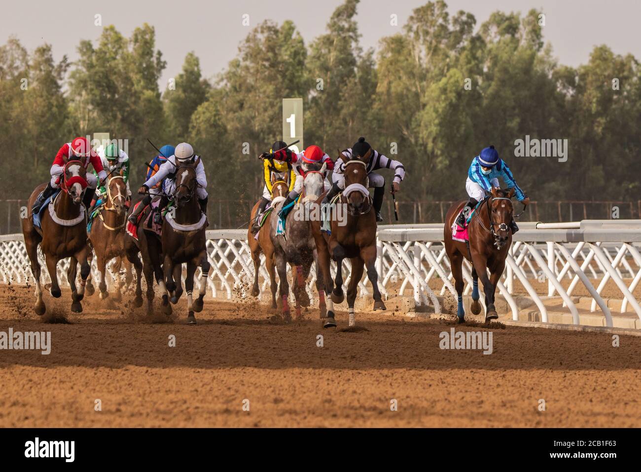 Horse racing at King Khalid Racetrack 7/8/2020 Stock Photo - Alamy