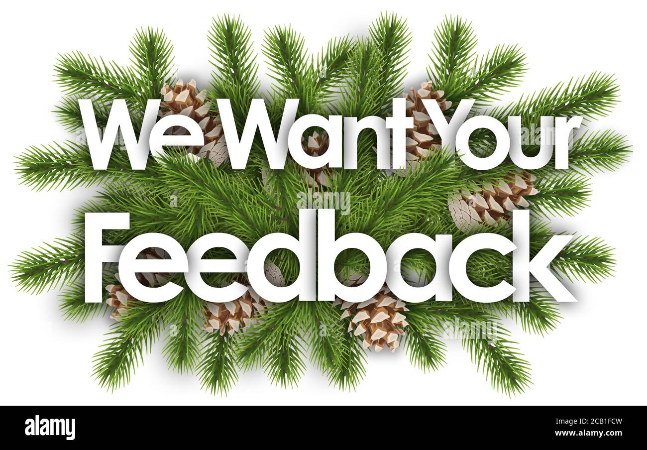 We Want Your Feedback in christmas background - pine branchs Stock ...