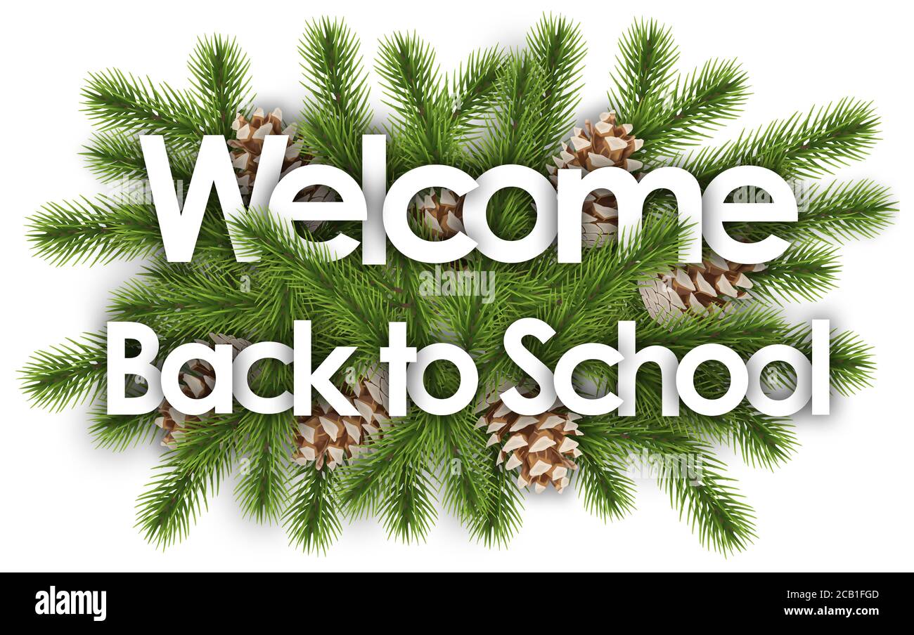 Welcome Back to School in christmas background - pine branchs Stock ...