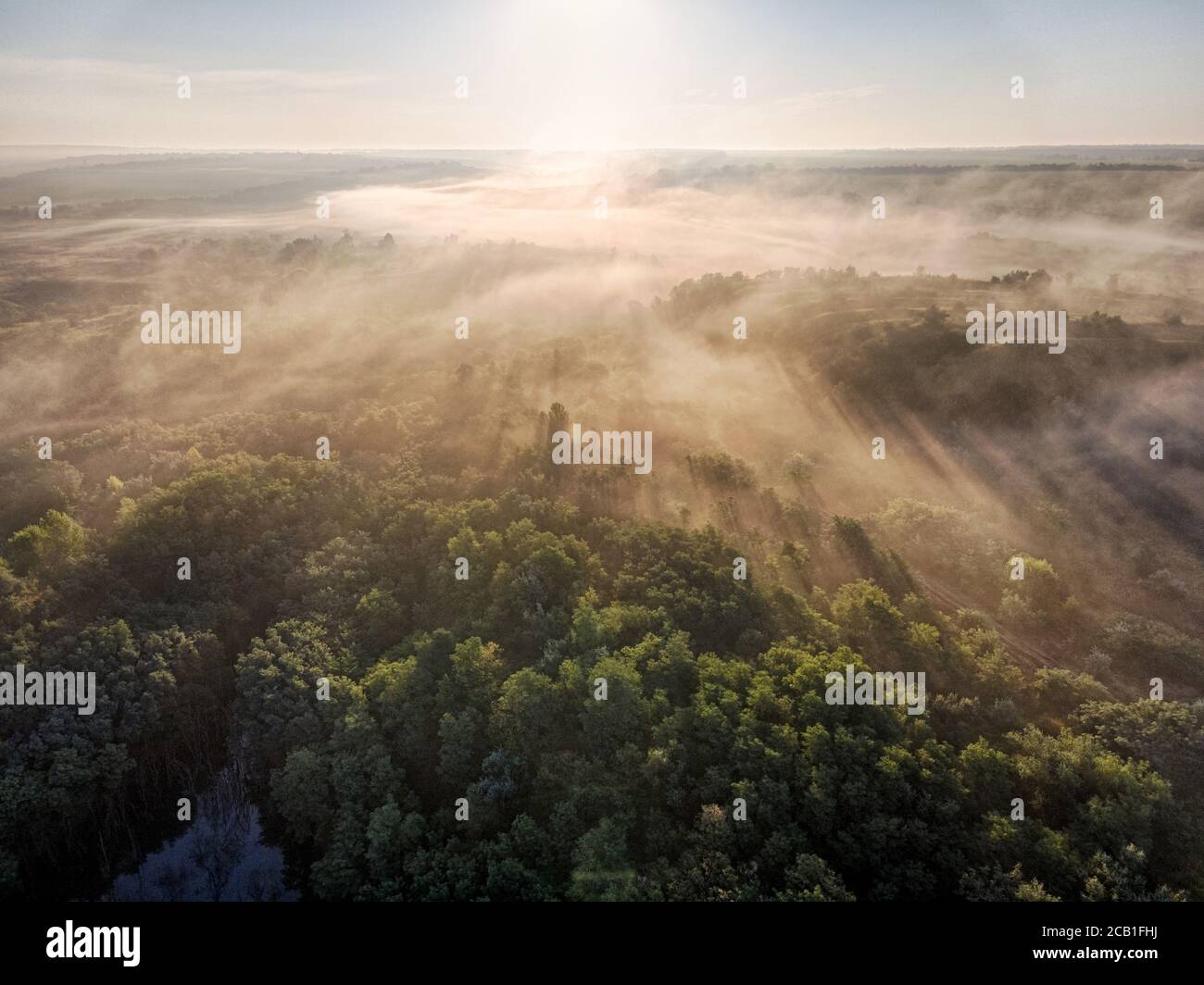 Forest hills long island hi-res stock photography and images - Alamy