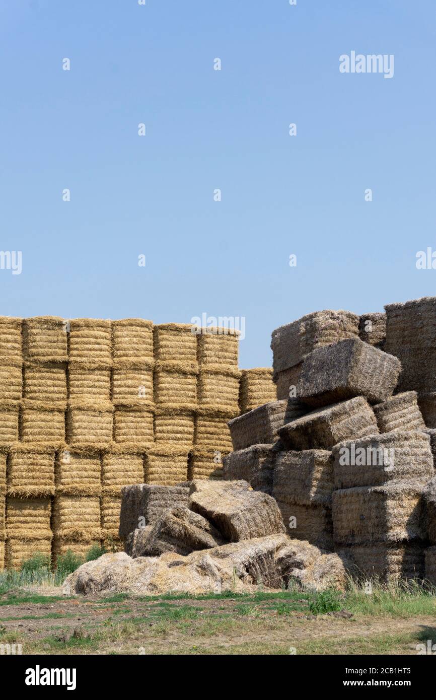 Hay stack uk farm six levels sunny blue sky bales fallen over Stock ...