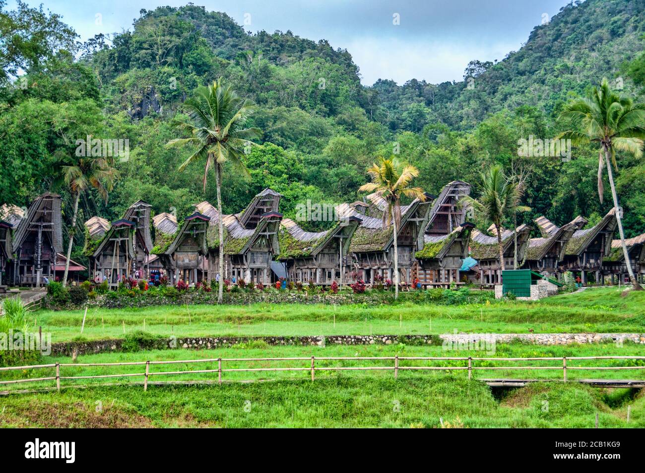 Kete'kesu, traditional Toraja village, Tona Toraja, South Sulawesi ...