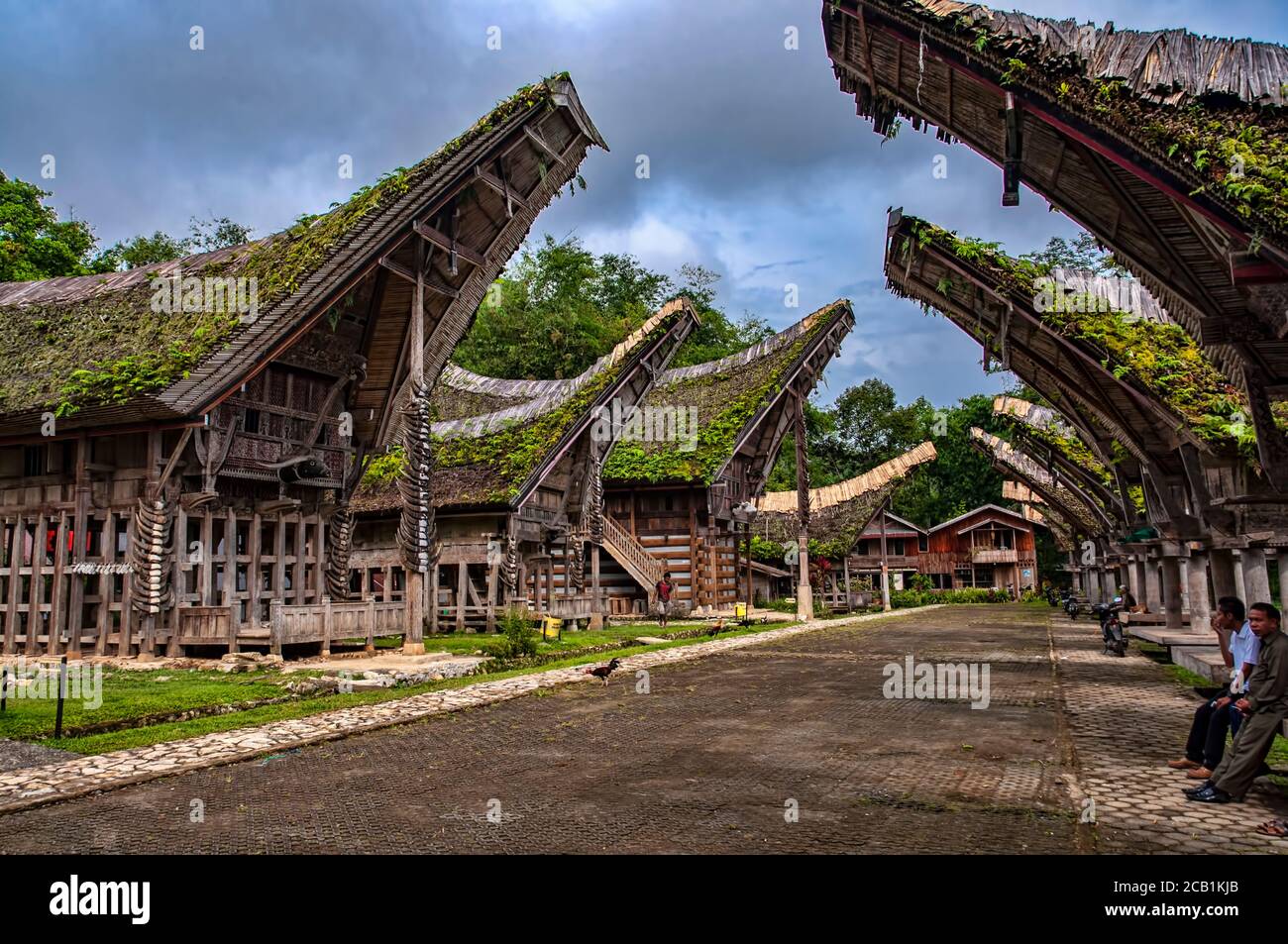 Kete'kesu, traditional Toraja village, Tona Toraja, South Sulawesi ...