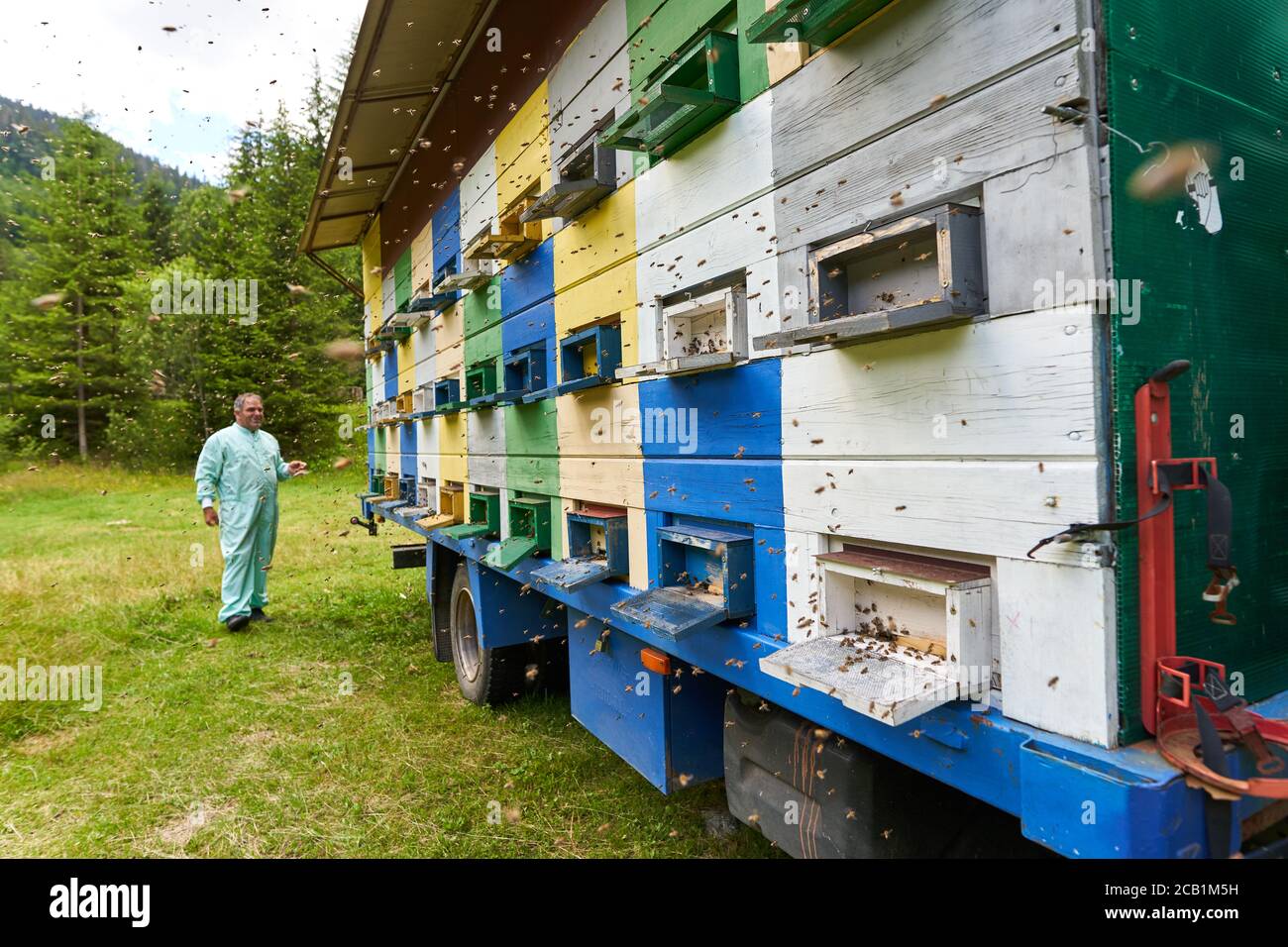 Beekeeper checking his bee hives in his lorry Stock Photo - Alamy