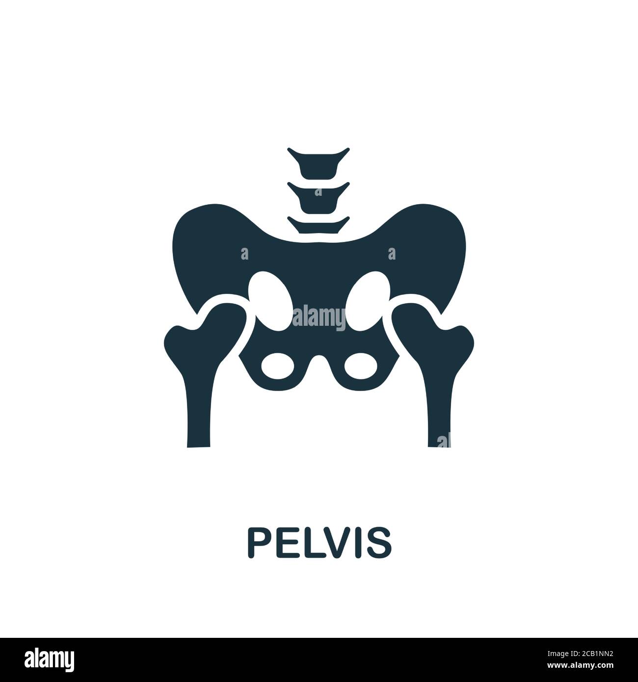 Pelvis internal organs hi-res stock photography and images - Alamy
