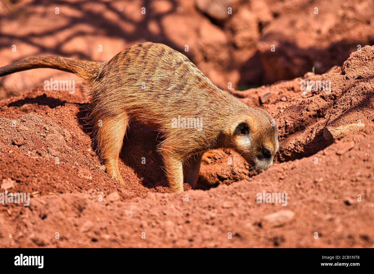 Deep hole in the sand hi-res stock photography and images - Alamy