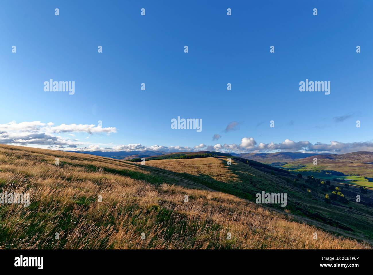 The Rolling slopes of Tulloch hill with the evening light casting long ...