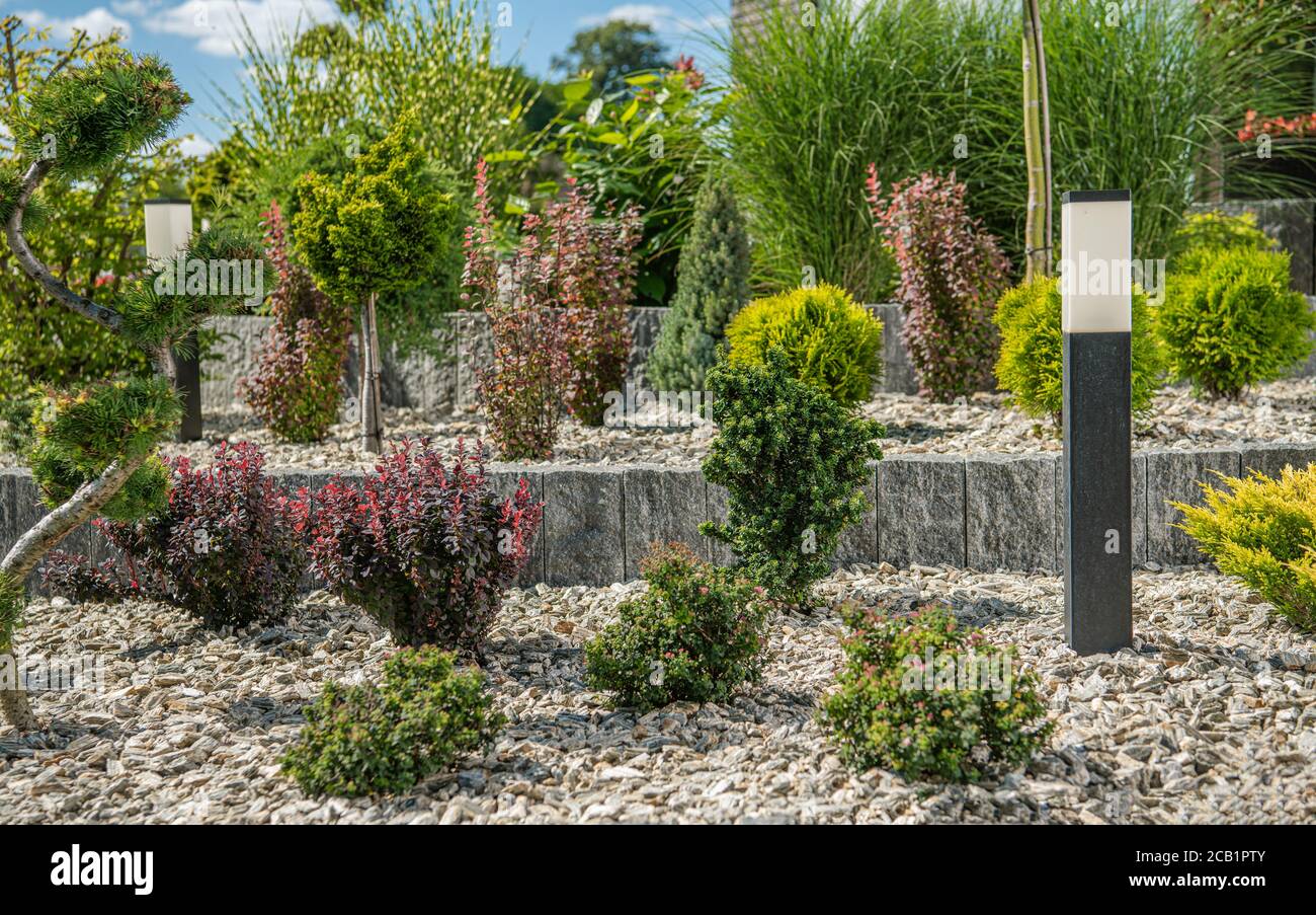 Decorative trees hi-res stock photography and images - Alamy