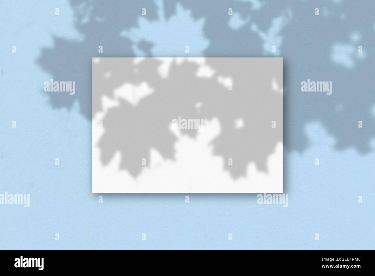 A horizontal A4 sheet of white textured paper on the blue wall ...