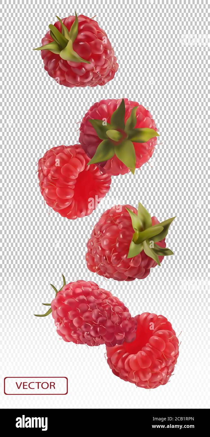 3D realistic raspberry on transparent background. Motion raspberry from ...