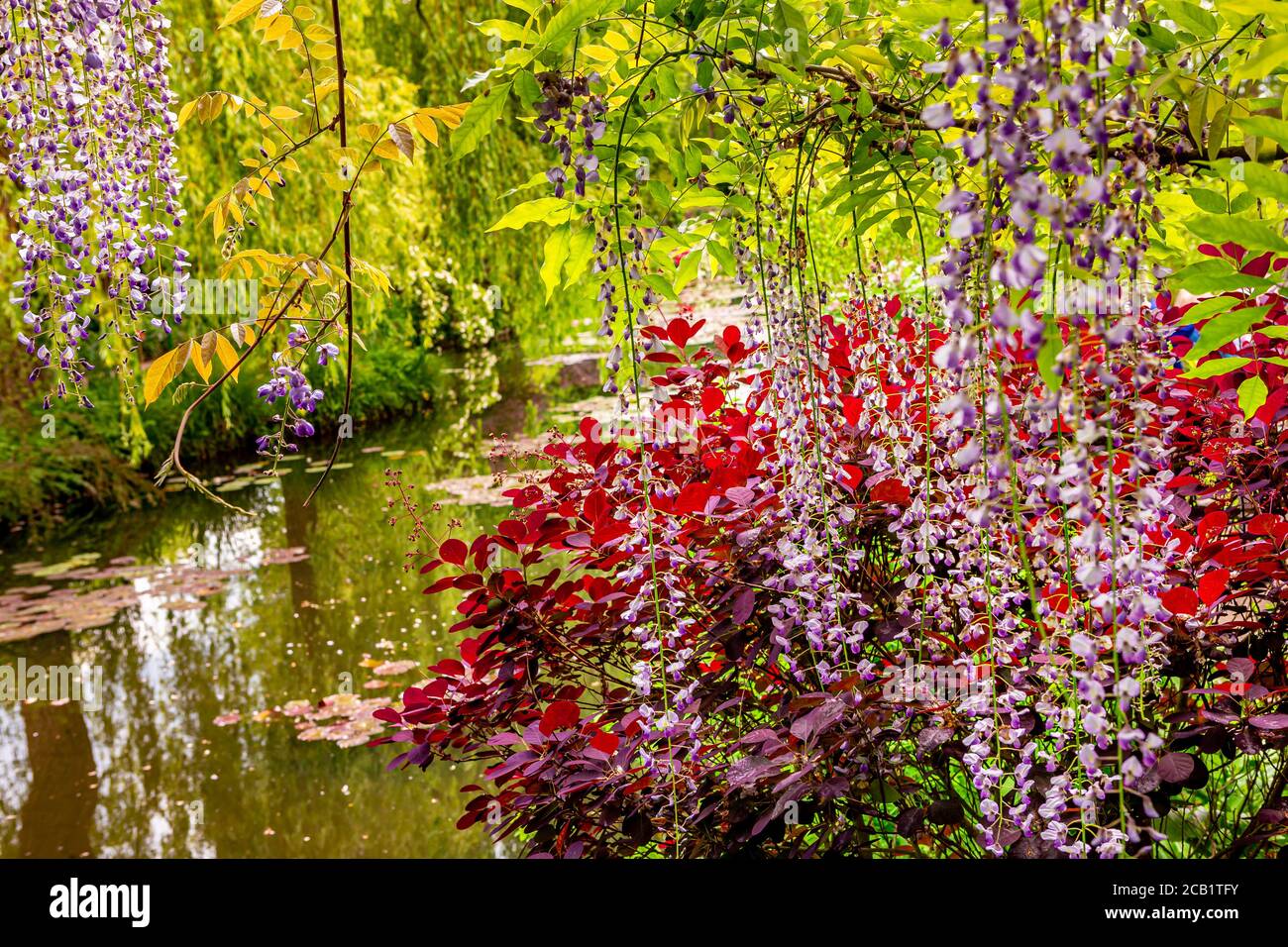 GIVERNY, FRANCE, MAY 21, 2015 : impressionists gardens and ponds of ...