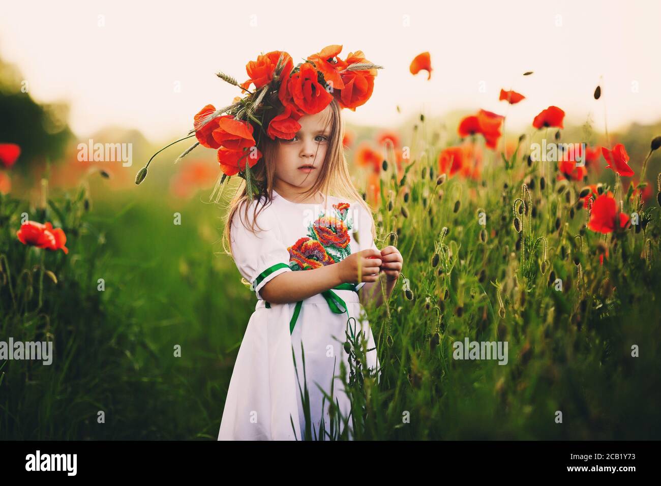 beautiful little girl with a wreath of poppies on head. cute child in ...