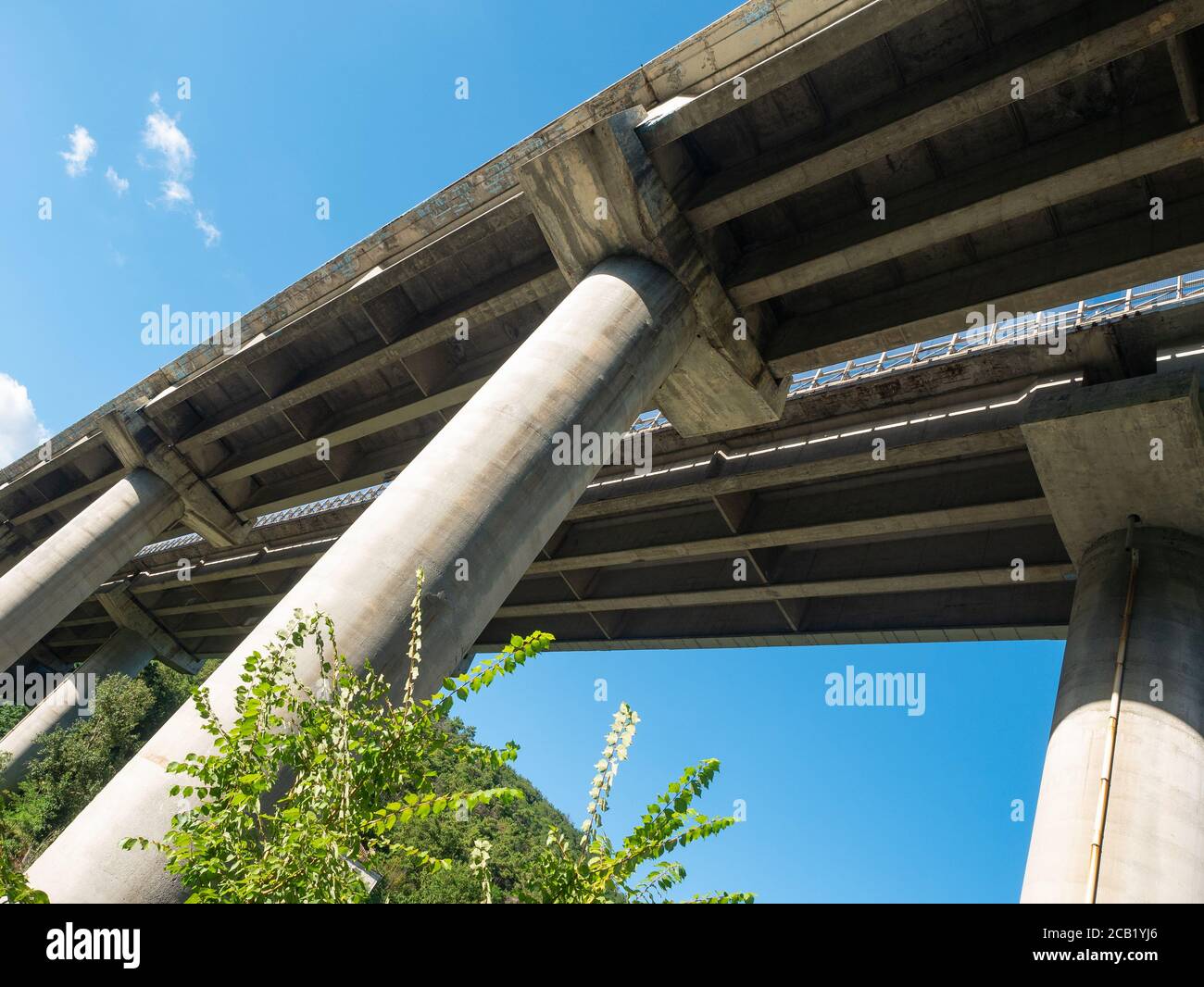 Multiple Lane Highway bridge with reinforced concrete columns viewed ...