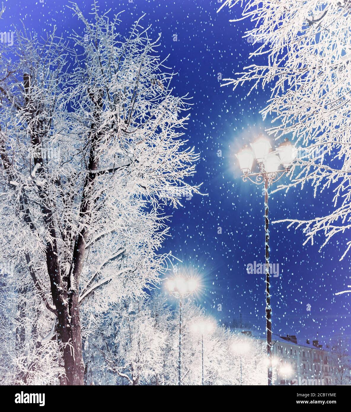 Winter landscape night view with shining lantern among the frosty trees ...
