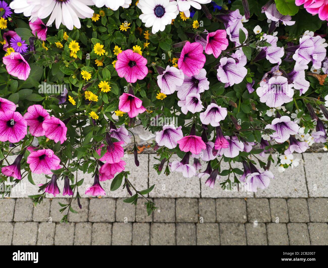 Gorgeous pot hi-res stock photography and images - Alamy