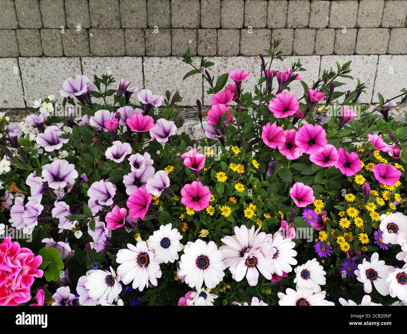Flower pot from above hi-res stock photography and images - Alamy