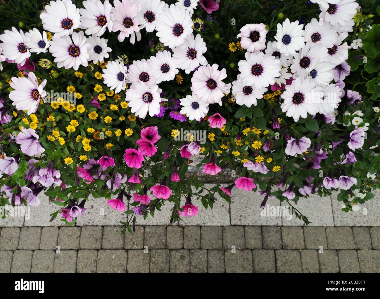 Rustic garden pot hi-res stock photography and images - Alamy