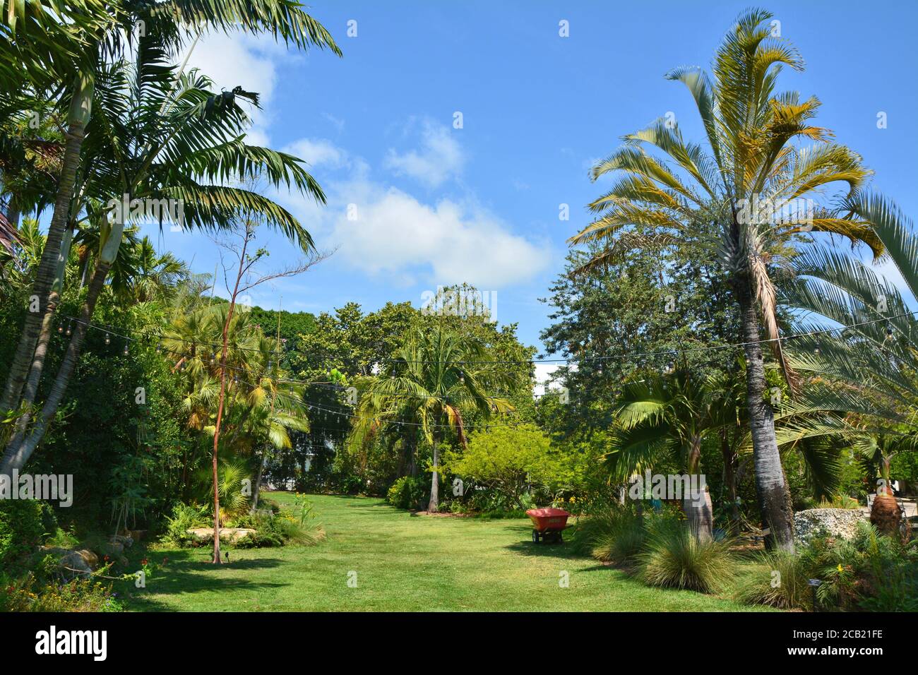 Miami beach botanical garden hi-res stock photography and images - Alamy