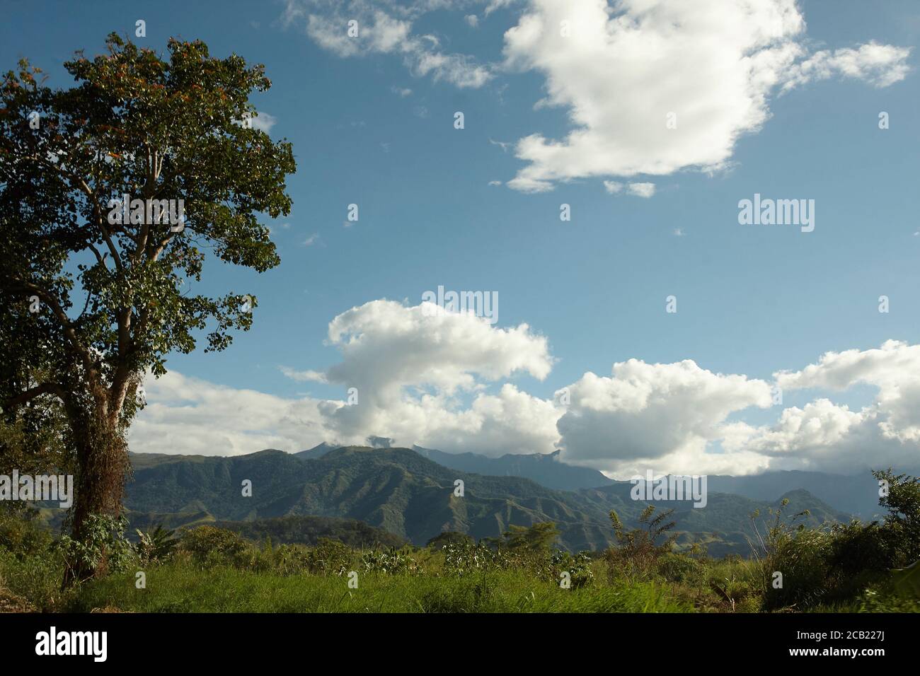 Mountains of eastern Venezuela Stock Photo - Alamy