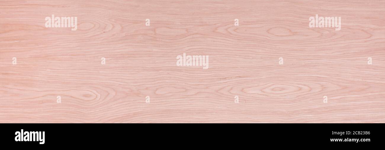 Beautiful ash veneer background as part of your new natural interior ...