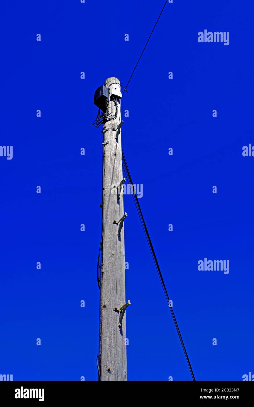 Single wooden pole simple comms power line and cables Stock Photo - Alamy