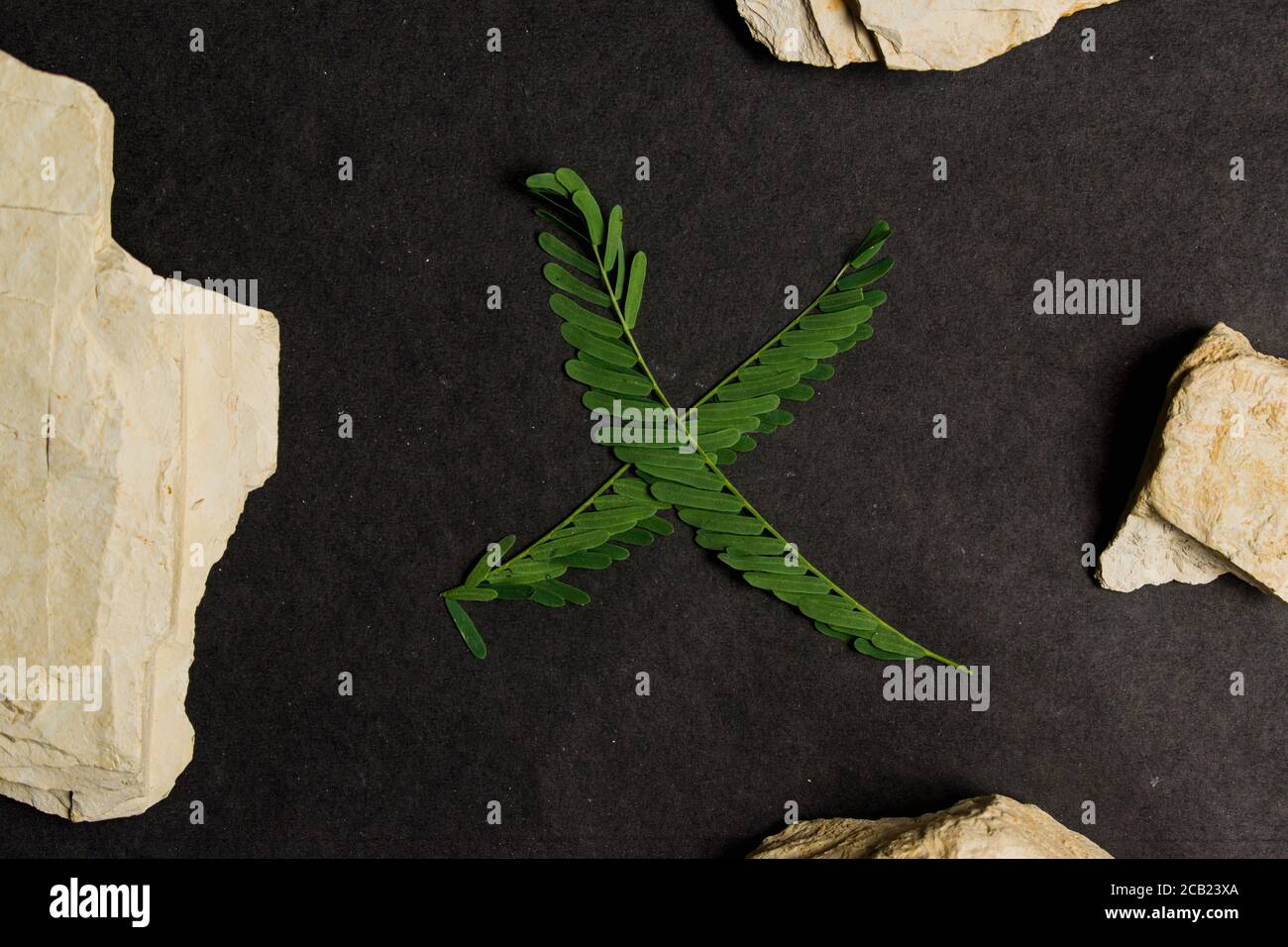 organic dry clay powder on white background. natural clay powder for ...