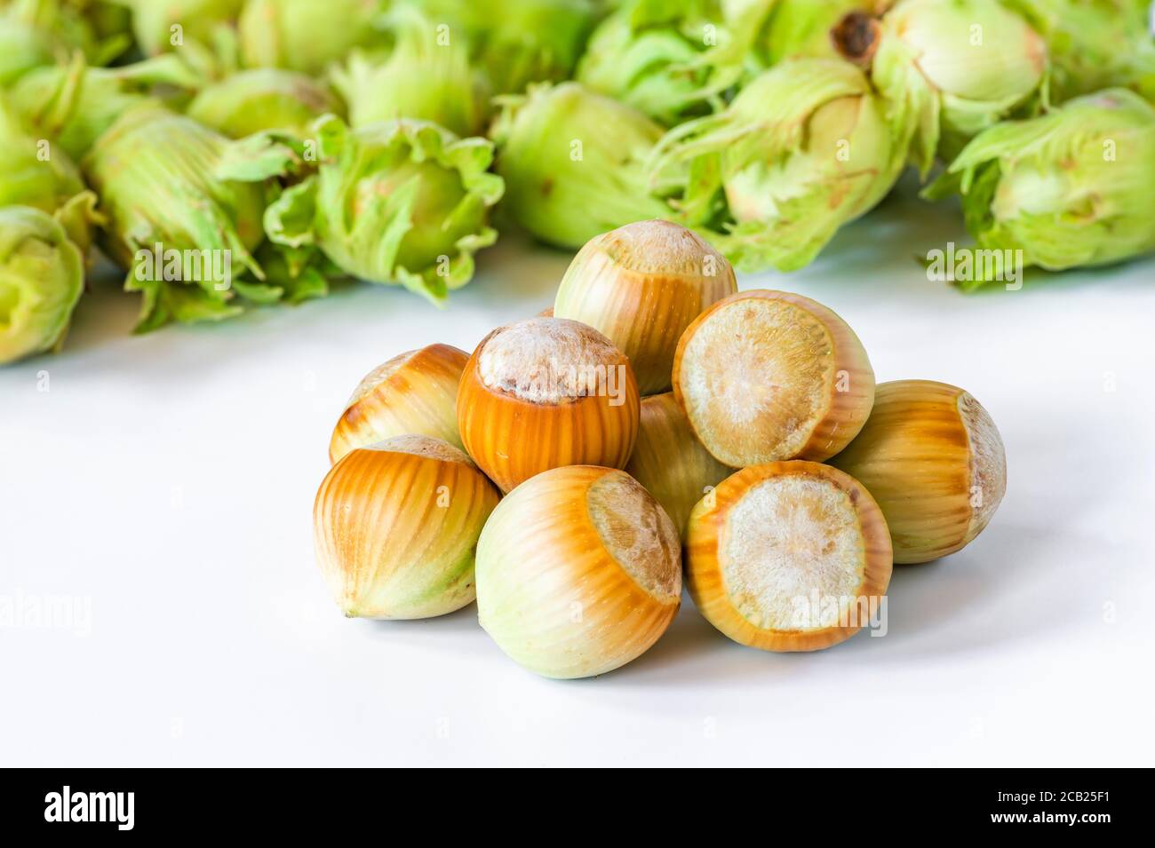 Fresh green hazelnuts (cobnuts) on white background Stock Photo - Alamy