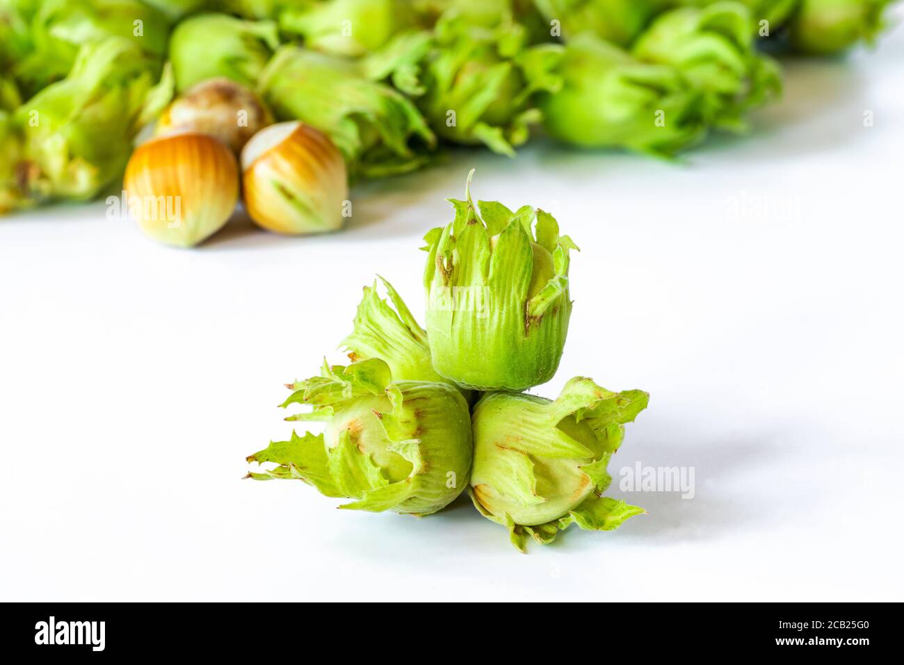Fresh green hazelnuts (cobnuts) on white background Stock Photo - Alamy