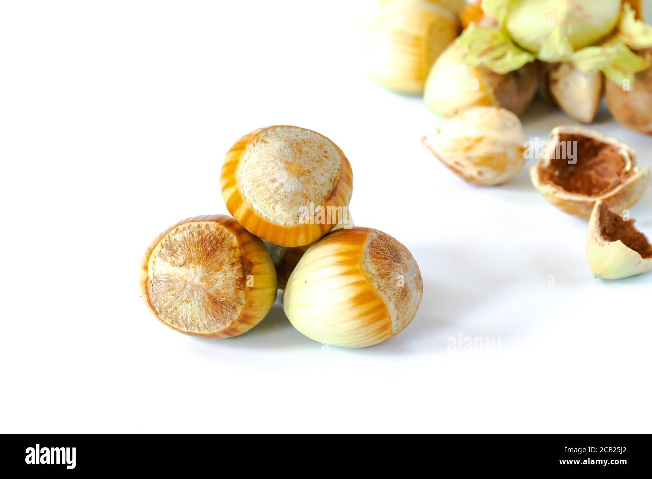 Fresh green hazelnuts (cobnuts) on white background Stock Photo - Alamy