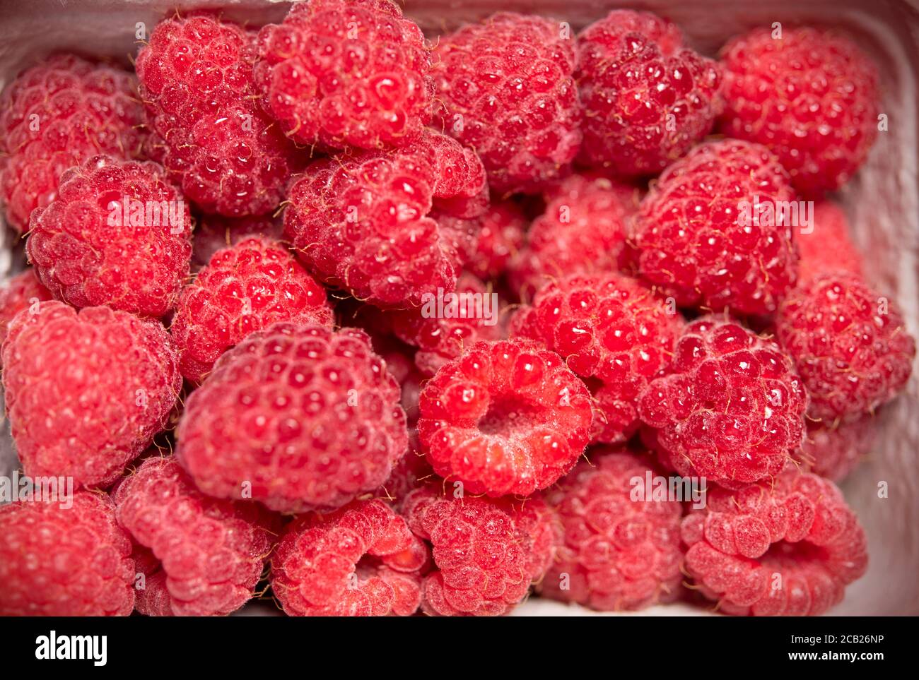 Delicious first class fresh raspberries covered with water drops ...