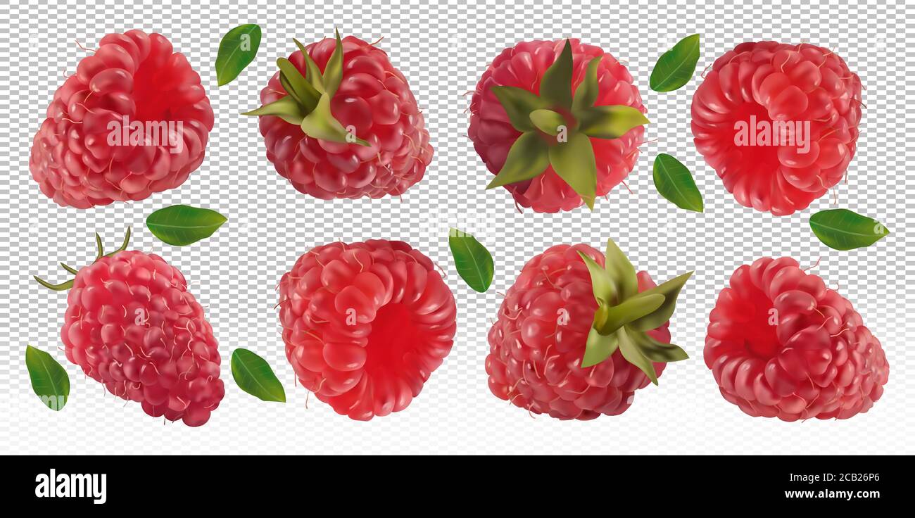 Raspberry falling from different angles. Flying raspberry with green ...
