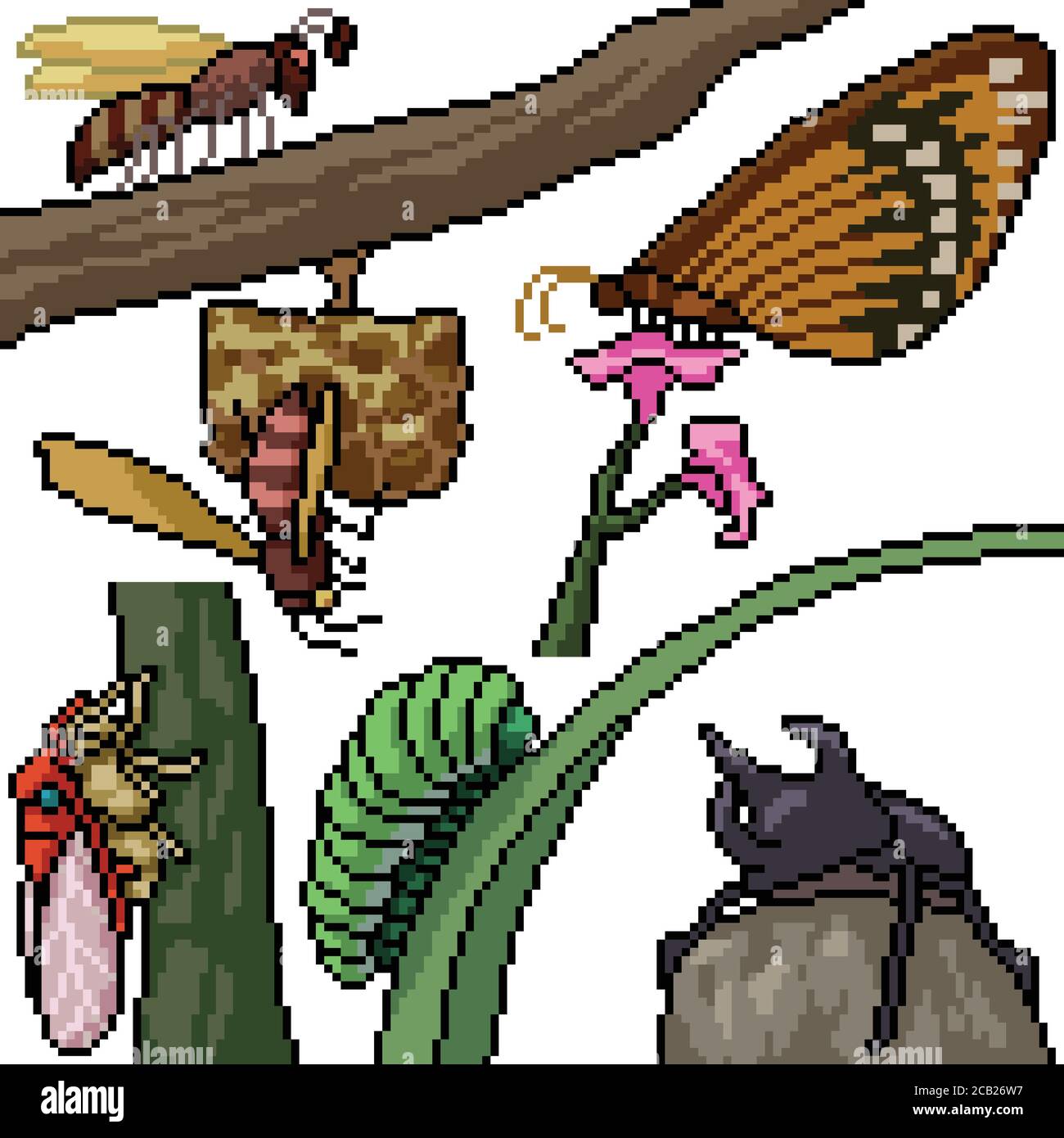 pixel art set isolated insect species Stock Vector Image & Art - Alamy