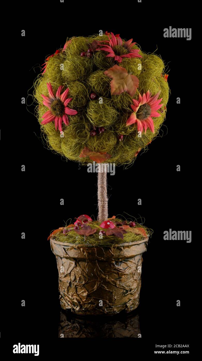 Topiary design hi-res stock photography and images - Alamy