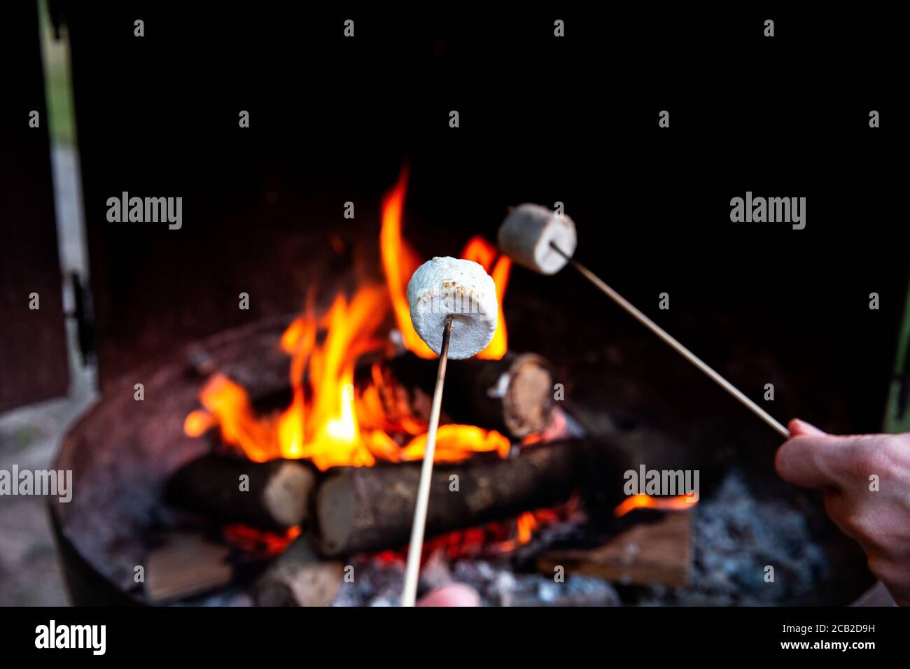 Person roasting over fire flames a marshmallows over campfire at night ...