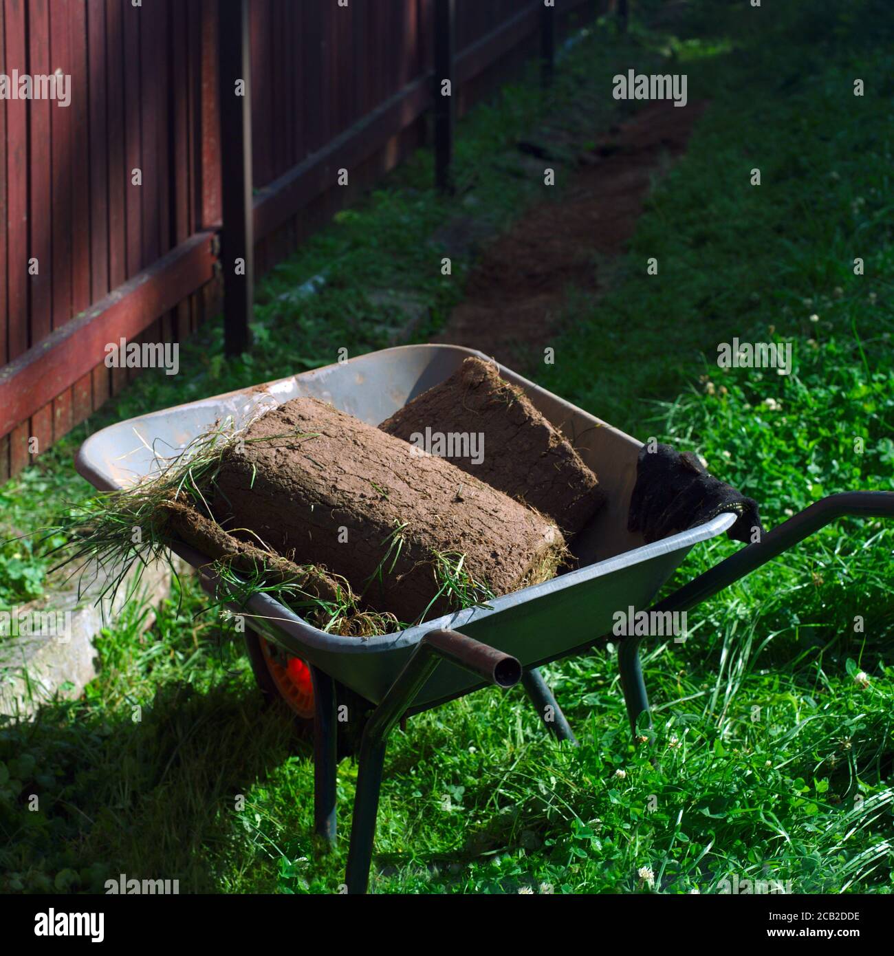 Rolls of lawn turf loaded in a garden trolley, outdoor shot Stock Photo ...