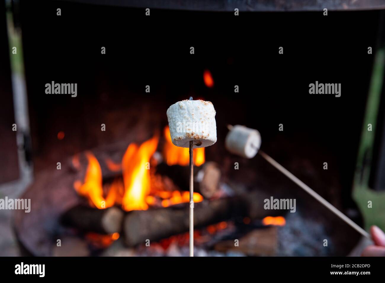 Person roasting over fire flames a marshmallows over campfire at night ...