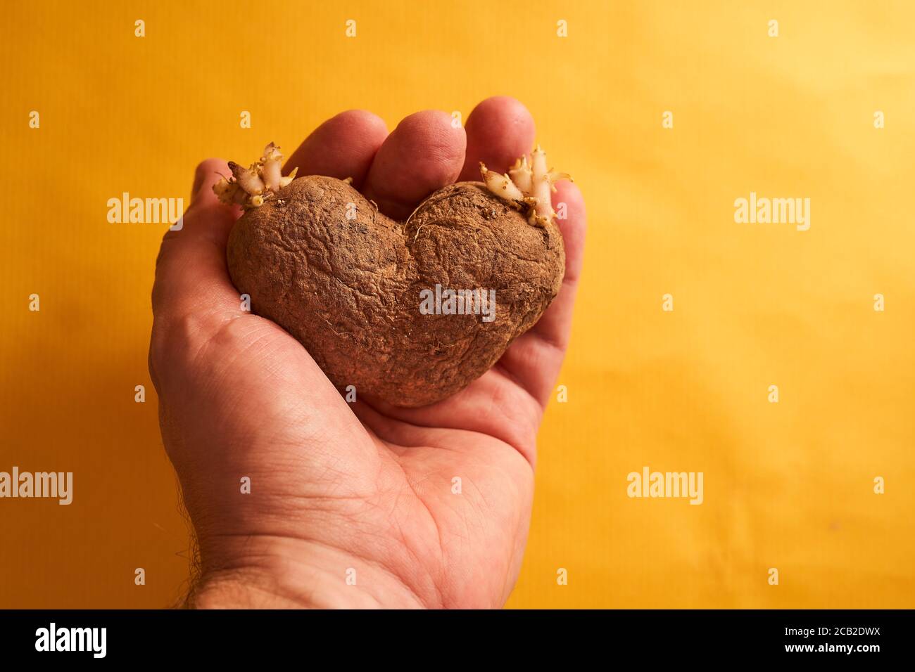 Hand shaped potato hi-res stock photography and images - Alamy